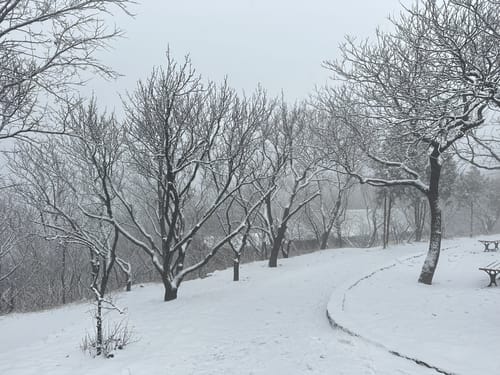 Best Hikes and Trails in Fragrant Hills Park | AllTrails