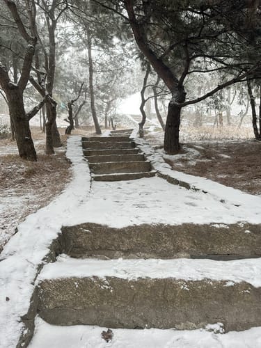 Best Hikes and Trails in Fragrant Hills Park | AllTrails