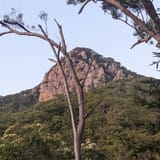 Mount Larcom Walking Trail, Queensland, Australia - 201 Reviews, Map ...