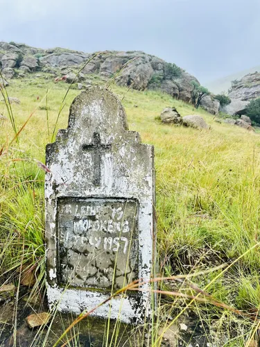 Best Hikes and Trails in Sterkfontein Dam Nature Reserve | AllTrails