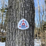 Old Mill Trail, Massachusetts - 292 Reviews, Map | AllTrails