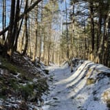 Old Mill Trail, Massachusetts - 258 Reviews, Map | AllTrails