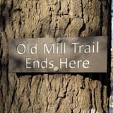 Old Mill Trail, Massachusetts - 292 Reviews, Map | AllTrails