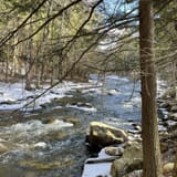 Old Mill Trail, Massachusetts - 292 Reviews, Map | AllTrails