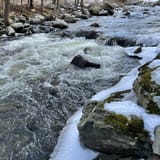 Old Mill Trail, Massachusetts - 292 Reviews, Map | AllTrails