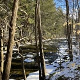 Old Mill Trail, Massachusetts - 265 Reviews, Map | AllTrails