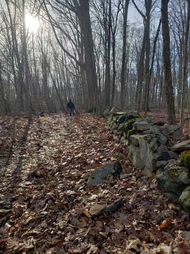 Best Hikes and Trails in Bittner Park | AllTrails
