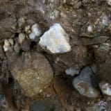 Traeth yr Ora Beach Loop , Anglesey, Wales - 57 Reviews, Map | AllTrails