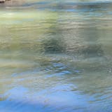 Blue Hole Road, Arkansas - 57 Reviews, Map | AllTrails