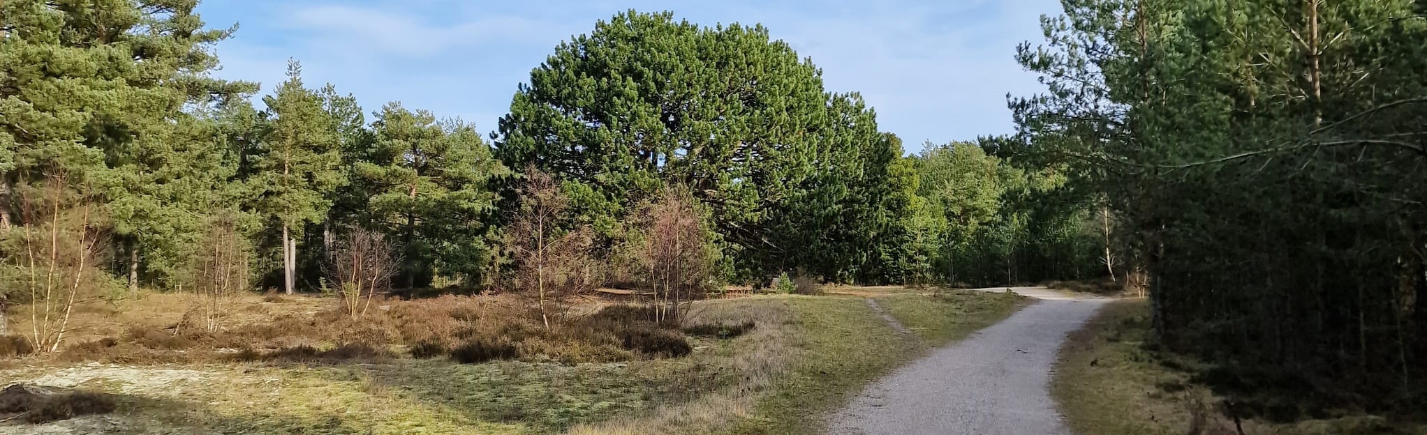 Grenåen - Grenaa Kommuneplantage: 13 Photos - Central Denmark, Denmark ...