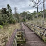 Mattie Kelly Nature Walk, Florida - 7 Reviews, Map | AllTrails