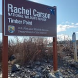 Timber Point, Maine - 291 Reviews, Map | AllTrails