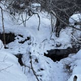 Burch Creek Trail, Utah - 755 Reviews, Map | AllTrails