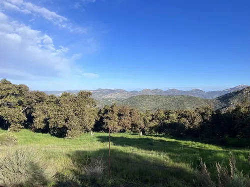 Best Forest Trails in Crestridge Ecological Reserve | AllTrails