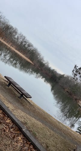 Best Hikes and Trails in Wharton Brook State Park | AllTrails