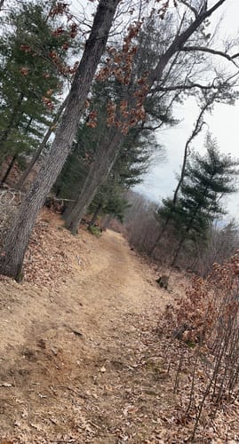 Best Hikes and Trails in Wharton Brook State Park | AllTrails