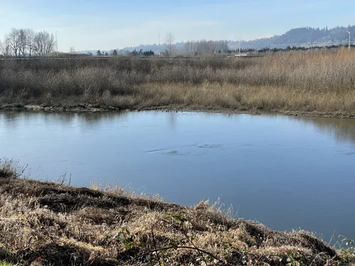 10 Best Trails and Hikes in Kent | AllTrails