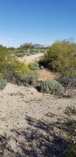 Best Hikes and Trails in Desert Trails Park | AllTrails
