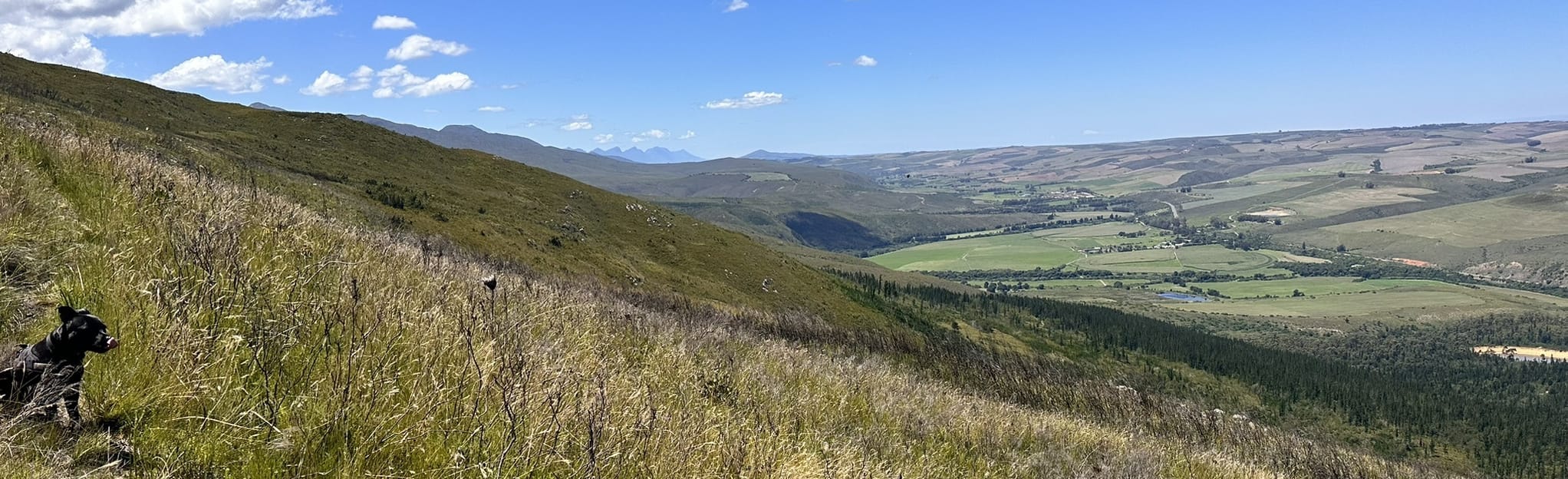 Suurbraak Contour: 3 Reviews, Map - Western Cape, South Africa | AllTrails