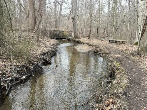 Best Forest Trails in Mill Neck | AllTrails