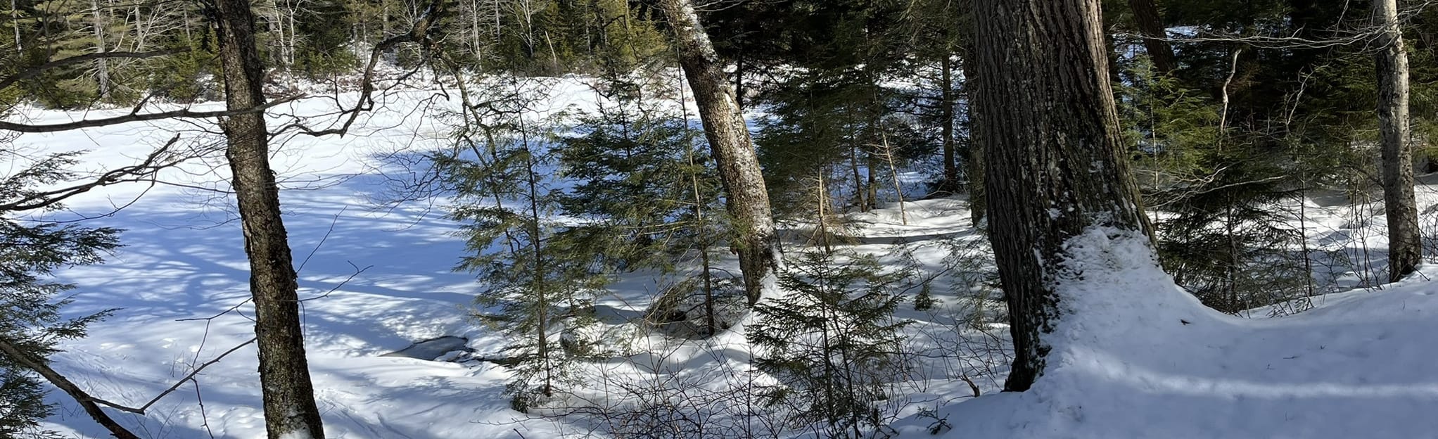 Fish Pond Truck Trail, New York - 7 Reviews, Map | AllTrails