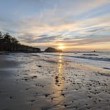 Sand Point Trail, Washington - 320 Reviews, Map | AllTrails