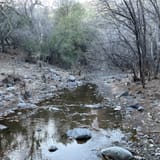 Verde River Sheep Bridge from Cave Creek, Arizona - 124 Reviews, Map ...