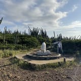 Jamanota Trail, Aruba, Aruba - 54 Reviews, Map | AllTrails