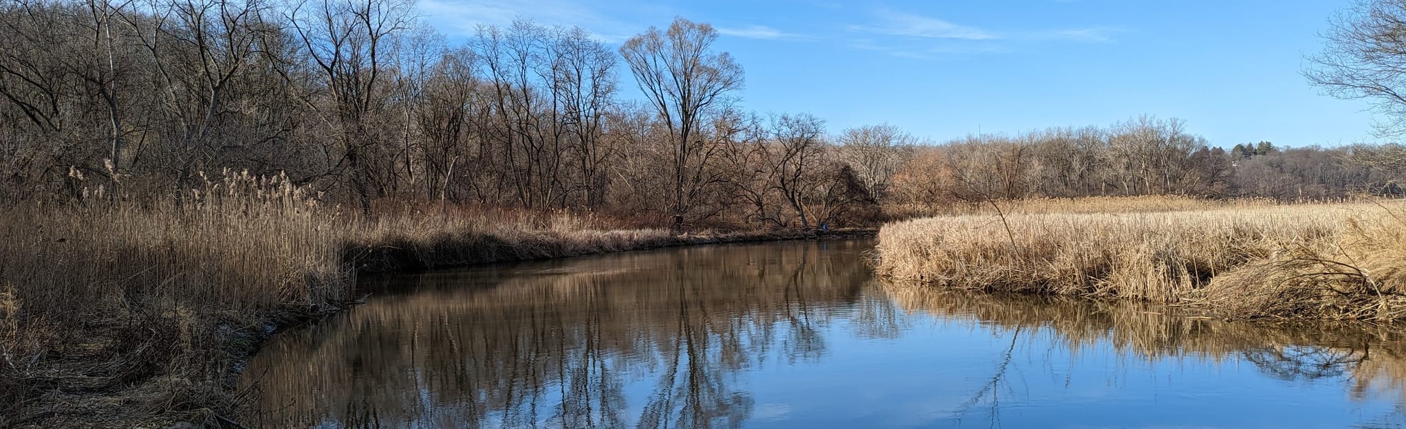 Tryon Park Loop, New York - 423 Reviews, Map | AllTrails