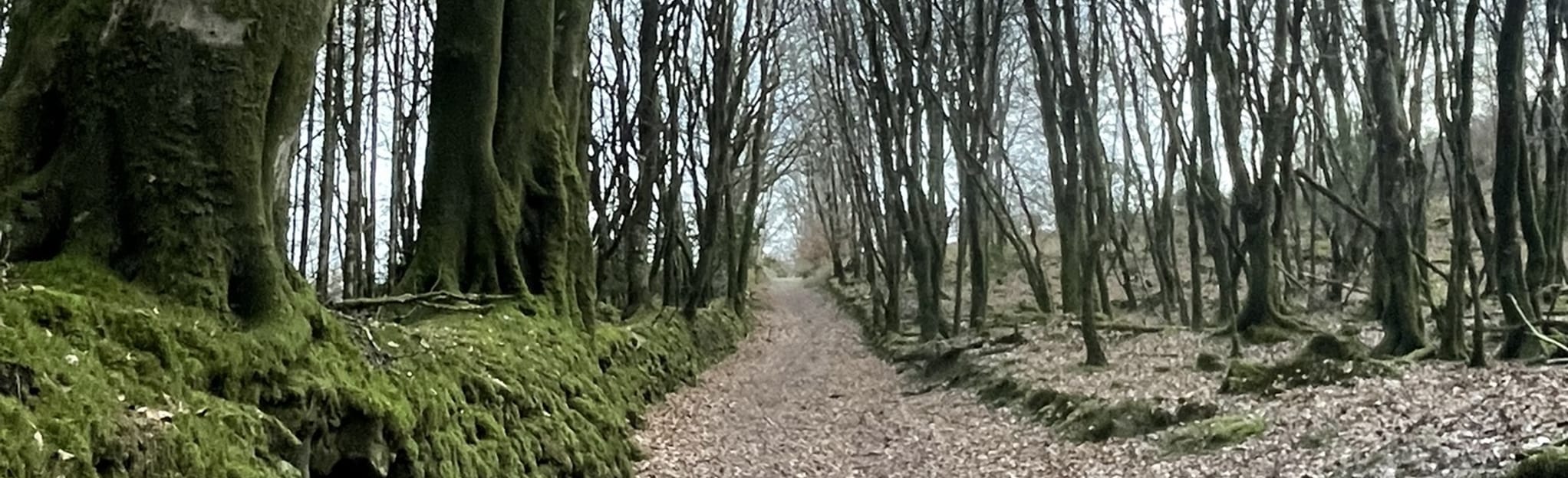 Cahir Downhill Mountain Bike Trail, County Tipperary, Ireland - Map ...