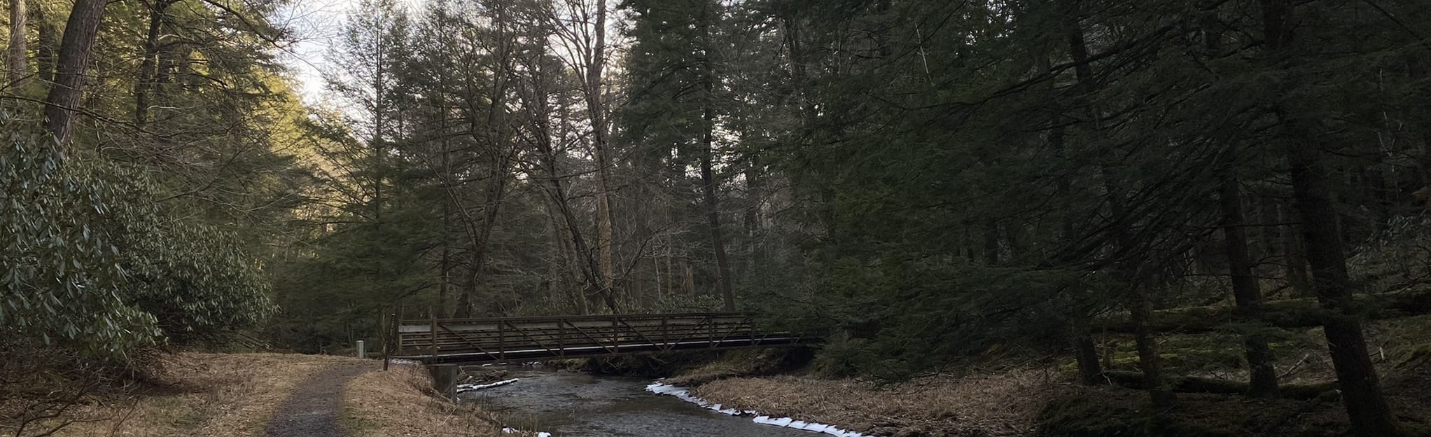 Seneca Viewpoint via Cook and Indian Trail : 46 Reviews, Map ...