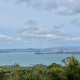 Rangitoto Island Summit Track, Auckland, New Zealand - 255 Reviews, Map ...