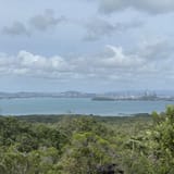Rangitoto Island Summit Track, Auckland, New Zealand - 255 Reviews, Map ...