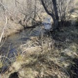 Sweetwater River Loop Trail, California - 440 Reviews, Map | AllTrails