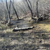 Sweetwater River Loop Trail, California - 440 Reviews, Map | AllTrails