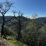 Robie Point Firebreak Trail, California - 1,035 Reviews, Map | AllTrails