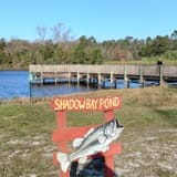 Shadow Bay Park Loop, Florida - 198 Reviews, Map | AllTrails