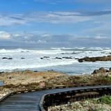 Asilomar State Beach and Coast Trail, California - 795 Reviews, Map ...