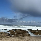 Asilomar State Beach and Coast Trail, California - 795 Reviews, Map ...