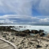 Asilomar State Beach and Coast Trail, California - 795 Reviews, Map ...