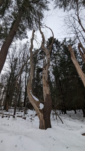 Best Hikes and Trails in Broad Cove Reserve | AllTrails