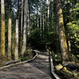 Grand Ridge Park Trail, Washington - 427 Reviews, Map | AllTrails