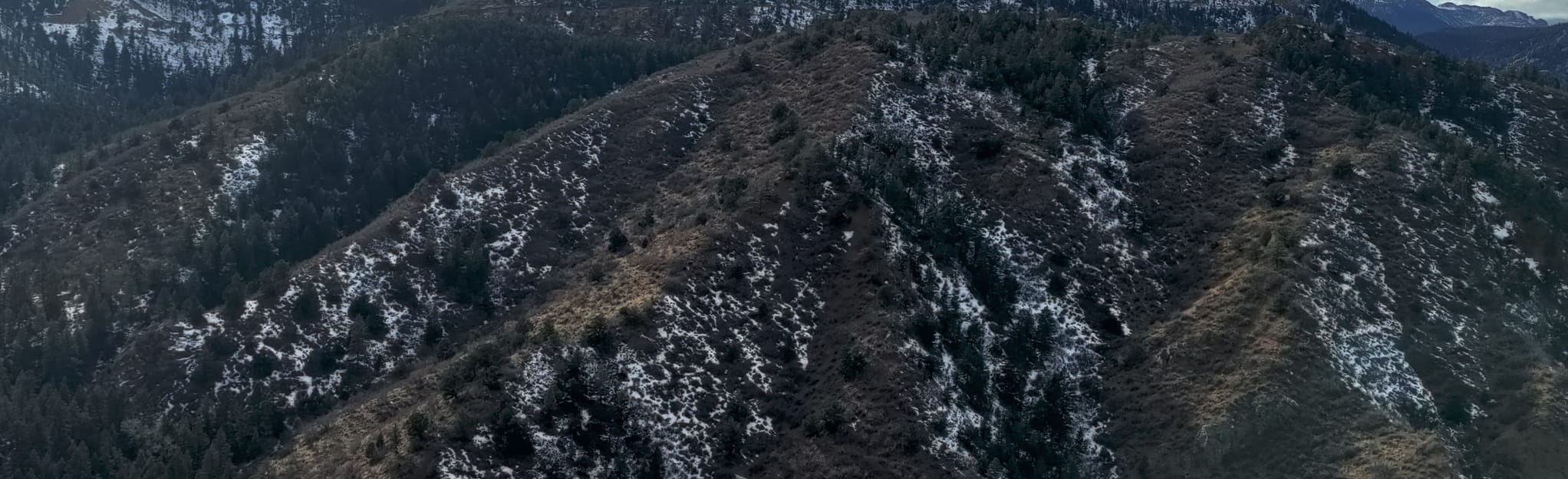 Iron Mountain via Intemann Trail, Colorado - 216 Reviews, Map | AllTrails