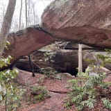 Hazard Cave and Natural Bridge Trail, Tennessee - 322 Reviews, Map ...