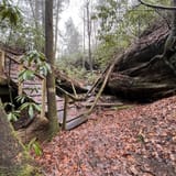Hazard Cave and Natural Bridge Trail, Tennessee - 322 Reviews, Map ...