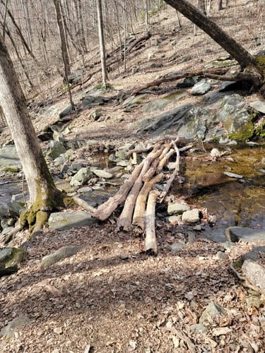 Best Hikes and Trails in Three Ridges Wilderness | AllTrails