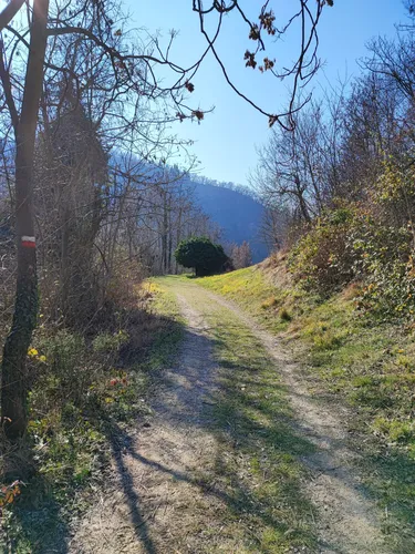 2023 Best Walking Trails in Zola Predosa | AllTrails