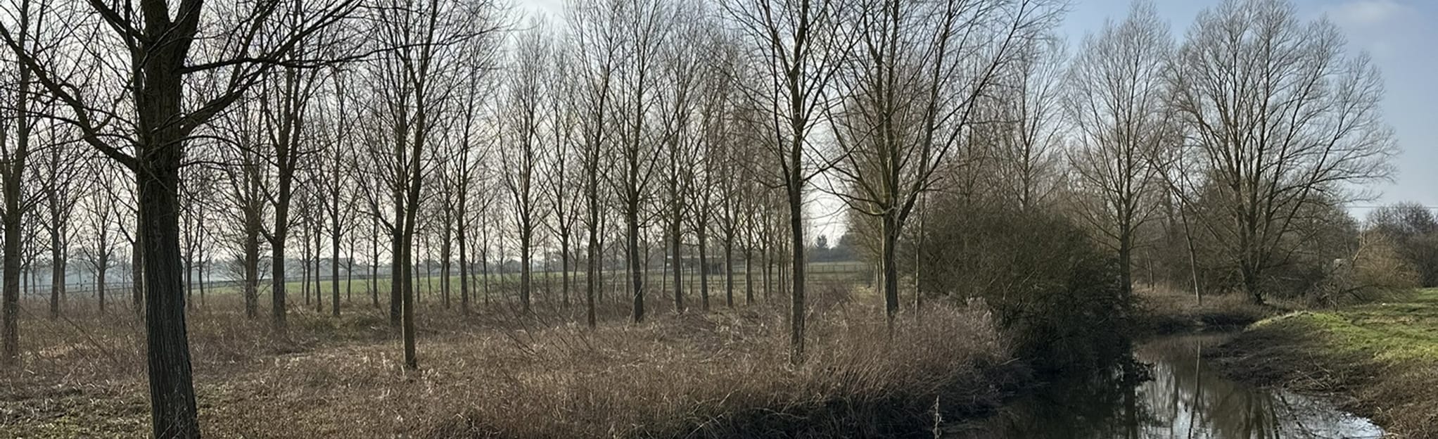 Gipping Valley River Path, Suffolk, England - 11 Reviews, Map | AllTrails