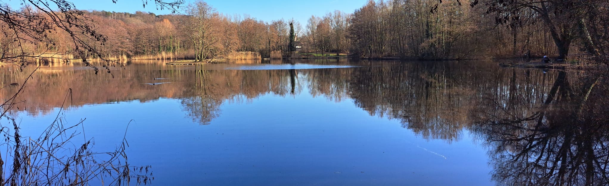 Panorama Trail Schinnen: 7 Reviews, Map - Limburg, Netherlands | AllTrails