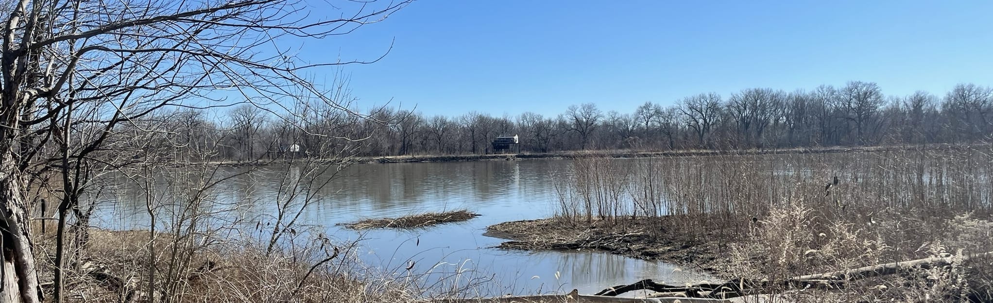 Gilbert Lake Trail: 11 Fotos - Illinois | AllTrails